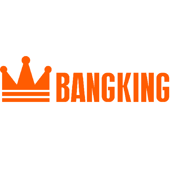 Bang King 30000 PRO 30k puffs Disposable Vape - BangKingVape